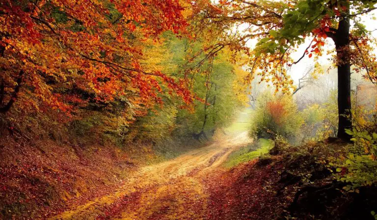 To Autumn, John Keats Poem Summary, Context, Analysis - GCSE English ...
